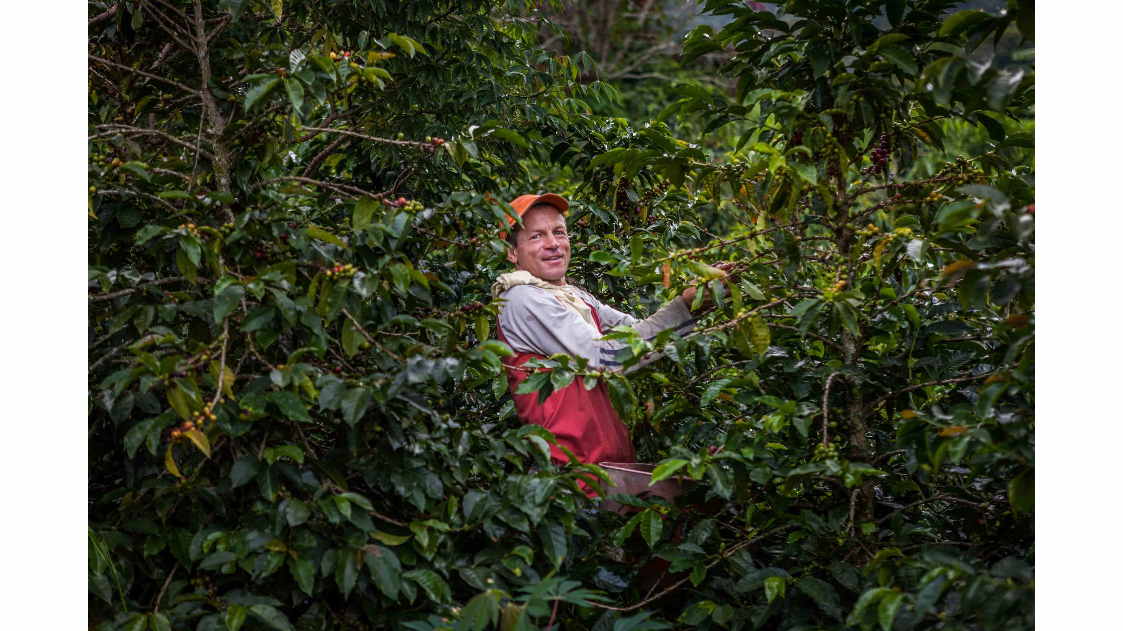 Nestlé lança NESCAFÉ Plan 2030 | Nestlé